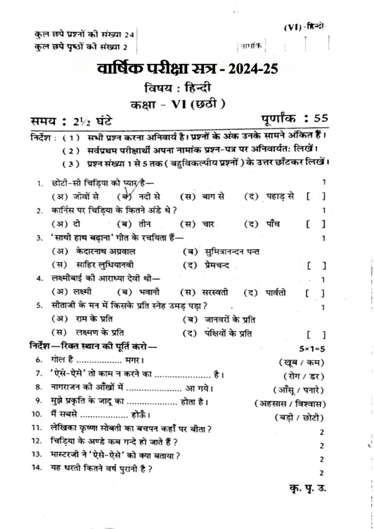 rbse Class 6th Hindi varshik paper 2025 / Rajasthan varshik Pariksha ...